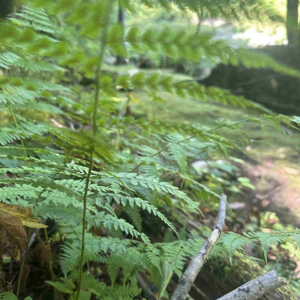 How to Build Trails on Steep Slopes: 10 Principles