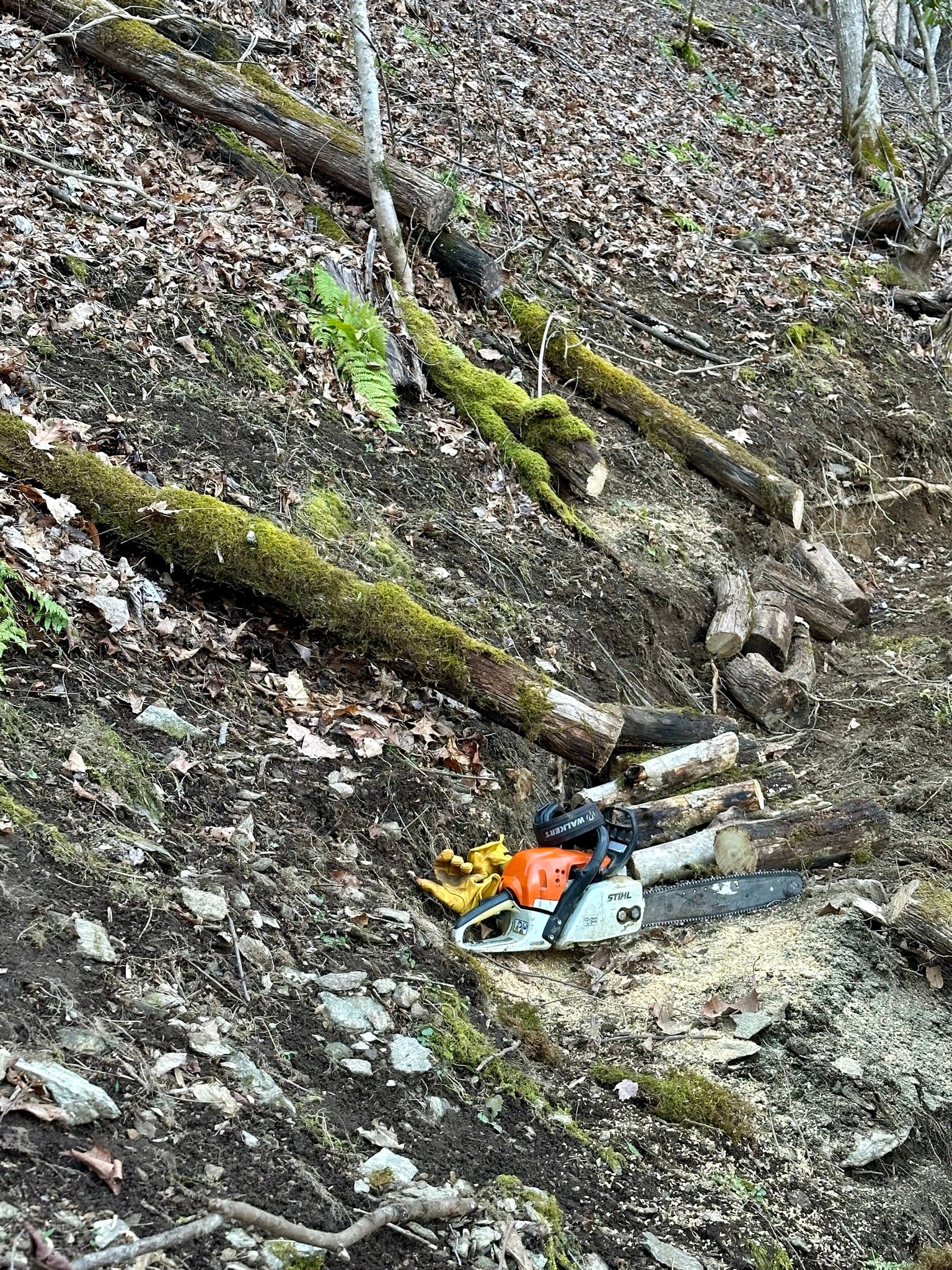 How to Build Trails on Steep Slopes: 10 Principles