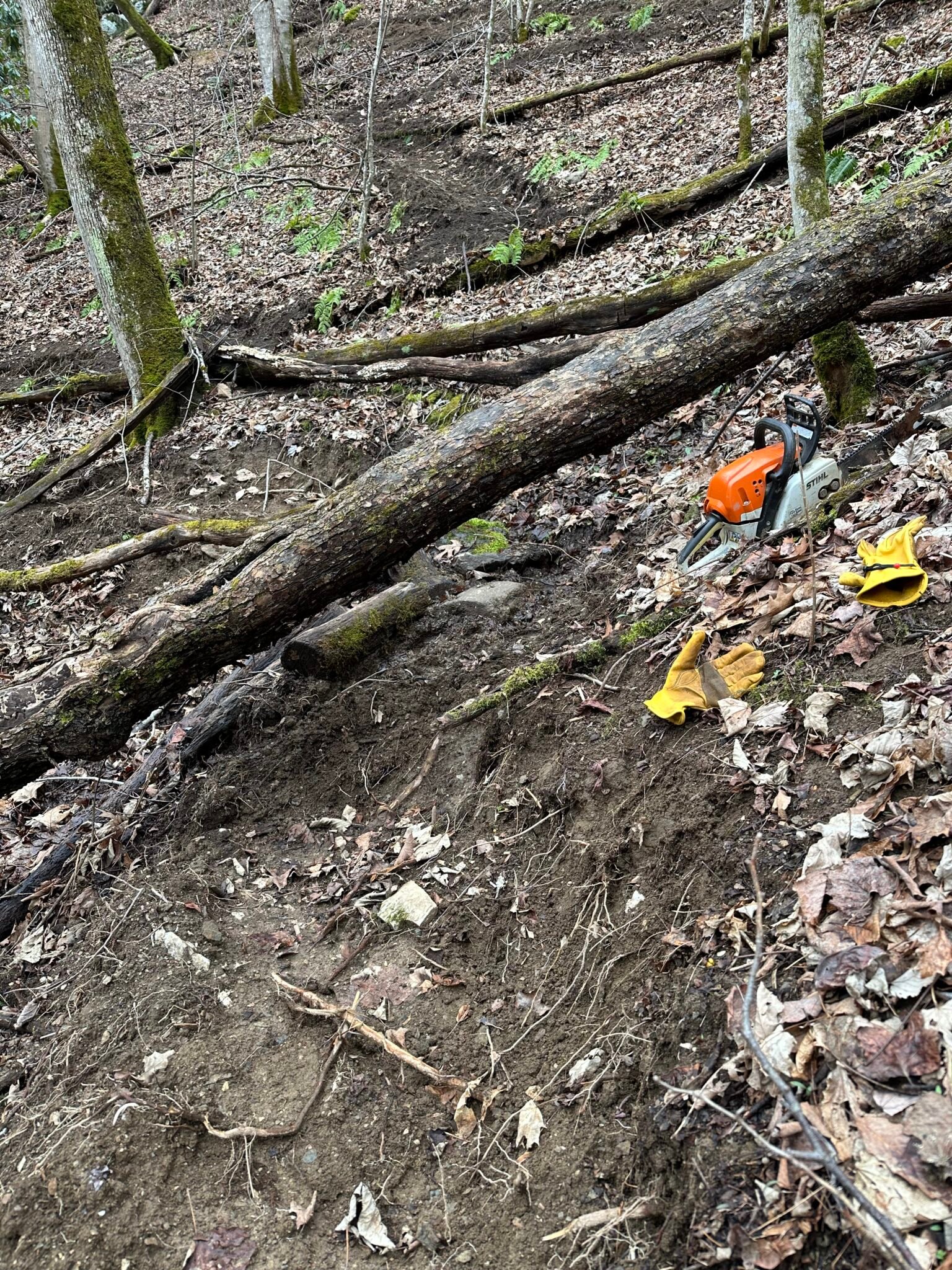 How to Build Trails on Steep Slopes: 10 Principles
