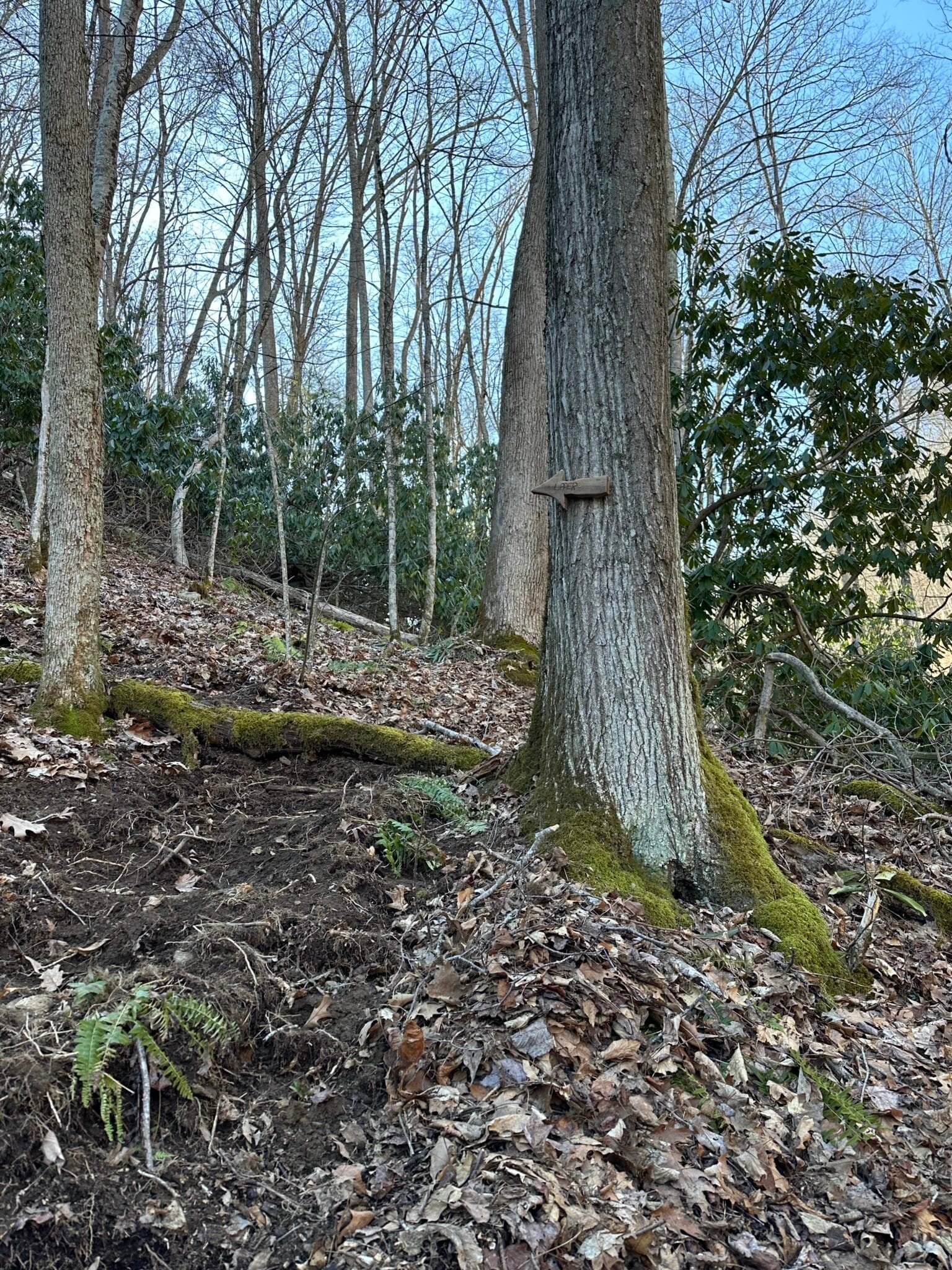 How to Build Trails on Steep Slopes: 10 Principles