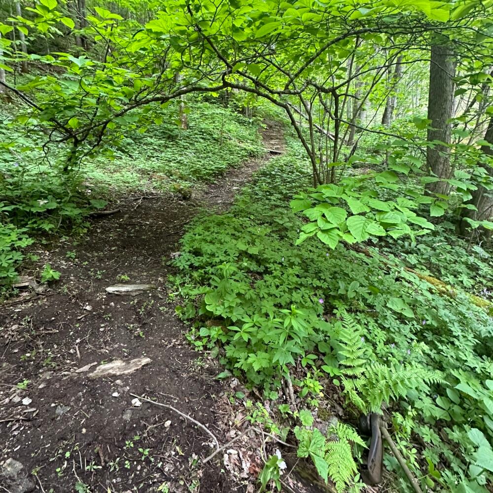 Trail Building on Steep Land: 10 Proven Principles