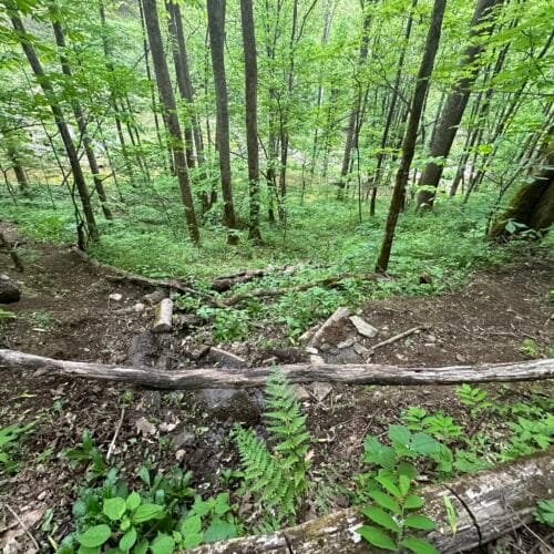 Trail Building on Steep Land: 10 Proven Principles
