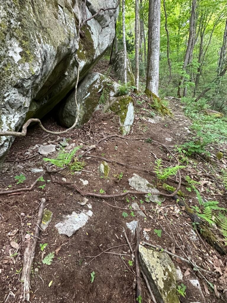 Trail Building on Steep Land: 10 Proven Principles